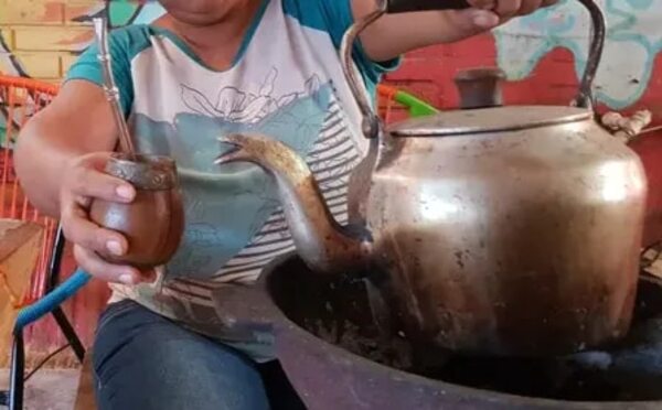 ¿Cuál es la temperatura ideal para tomar mate sin dañar el sistema ...