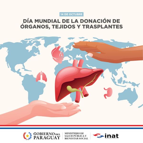 Día Mundial De La Donación De órganos Tejidos Y Trasplantes 14 De