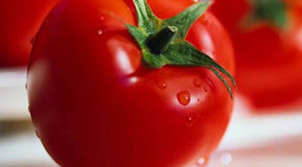 Diario HOY | No hay baja producción de tomate: el motivo de la ... Diario HOY | No hay baja producción de tomate: el motivo de la ...