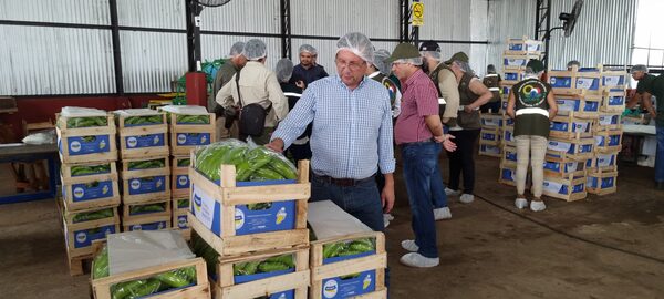 Senave avanza en la apertura del mercado chileno para la exportaci贸n de ...